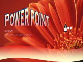 power point 템플릿 /빨간배경/꽃/귀엽고 다양한 디자인/개성만점 톡톡튀는 창의력-1페이지