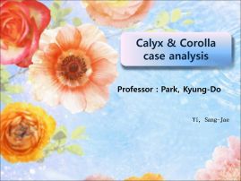 [서강대 경영정보시스템]marketing 칼릭스&코롤라 case analysis-1페이지