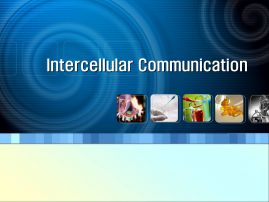 Intercellular communication (세포간연락)-1페이지