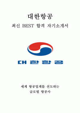 대한항공 객실 남승무원 최신 BEST 합격 자기소개서 2편!!!!-1페이지
