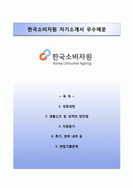 [자기소개서 베스트 우수예문] [한국소비자원(韓國消費者院) 자기소개서] 한국소비자원 (청년인턴) 자소서 [한국소비자원자기소개서Korea Consumer Agency자소서KCA] 추천 합격 이력서 BEST RESUME-1페이지