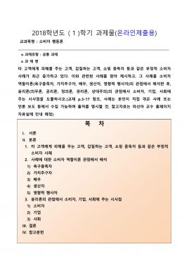 경영학과_소비자행동론_2018년 1학기 과제물-1페이지