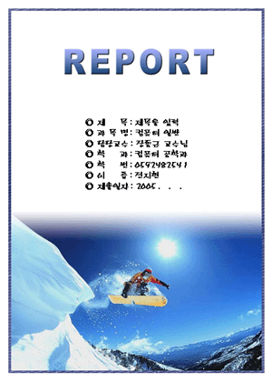 겨울 스포츠 스키 보드 레포트표지