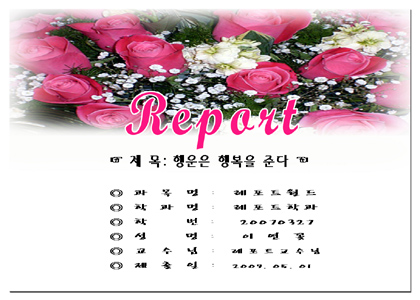 안개꽃과 장미..레포트표지no연꽃238