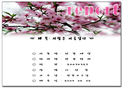 분홍벚꽃...레포트표지 no연꽃248