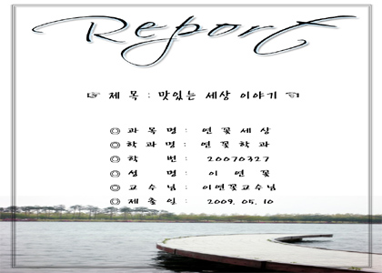 호수공원 가로 레포트표지