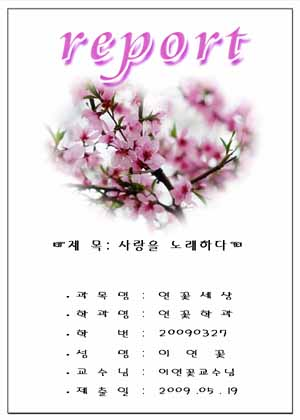 분홍벚꽃 표지 -연꽃표지301-