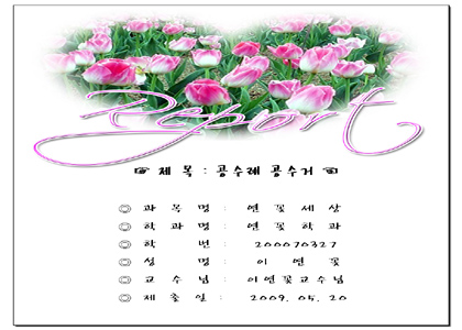 튜울립가로 -연꽃표지308-
