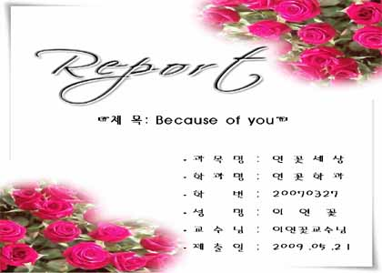 샤방장미 가로 -연꽃표지316-