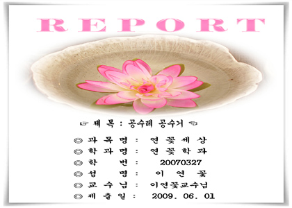 행운연꽃세트 -연꽃표지345-