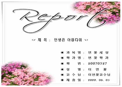 핑크꽃 가로세트 -연꽃표지353-