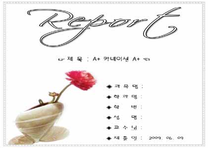 카네이션2 가로세트 =연꽃표지371=