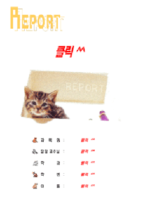 고양이