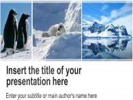 남극 온난화 파워포인트 배경