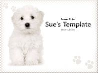 [Sue] 디자인 : 귀여운 흰색강아지