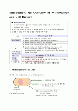 미생물 관련 리포트-1페이지