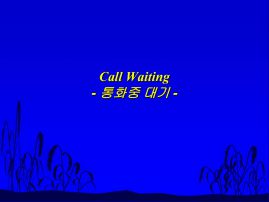 이동통신의 통화중대기(Call Waiting)에 관한 사항(MCAW)-1페이지