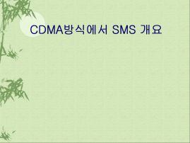 CDMA방식에서의 SMS 개요-1페이지