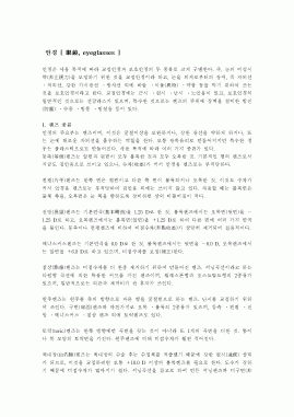 안경의 기원 및 역사에 대한 리포트 요청함-1페이지