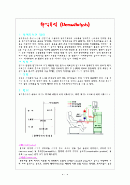 혈액투석에 관한 레포트-1페이지