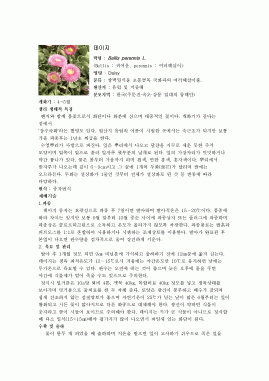 봄화단의 꽃조사-1페이지