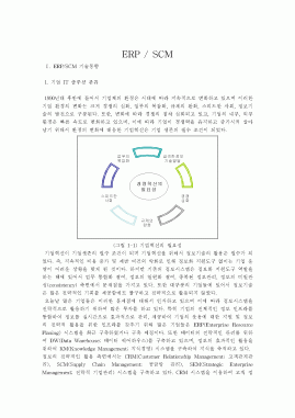 ERP/SCM 시장보고서-1페이지