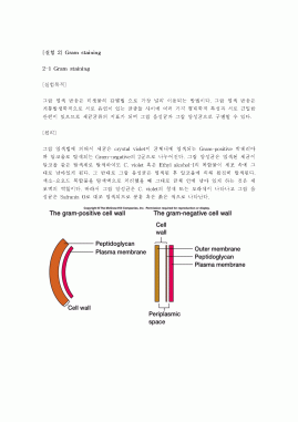 Gram staining-1페이지