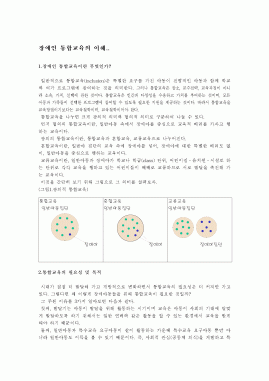 [공학/컴퓨터/통신] 장애인 통합교육-1페이지