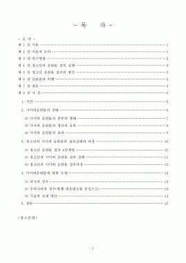 음란물과 청소년 비행과의 관계에 관한 연구-1페이지