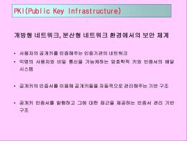 PKI(Public Key Infrastructure)-1페이지