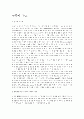 [사회과학] 상품과 광고-1페이지