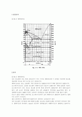 금속가열조직 결과 보고서-1페이지