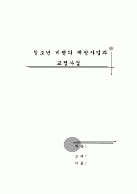  청소년 비행의 예방과 교정-1페이지