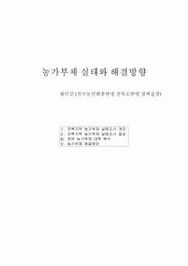 농가부채의 실태와 방안-1페이지