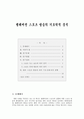 텔레비젼 스포츠방송의 기호학적 분석-1페이지