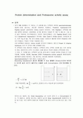 단백질 정량과 Proteasome-1페이지