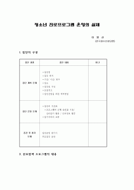 청소년 진로프로그램 운영의 실제-1페이지