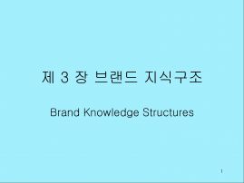 브랜드 지식구조-1페이지