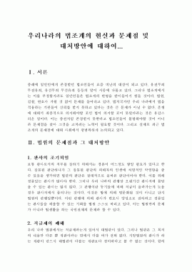 우리나라 법조계의 현실과 문제점 및 대처방안에 대하여-1페이지