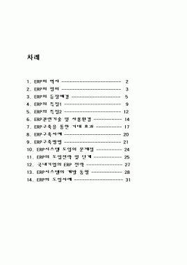 ERP에 대해..-1페이지