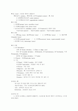 뼈의 종류 분류 외형 발생 골화과정-1페이지