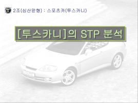 [마케팅] 투스카니 스포츠카 STP분석(경영전략 마케팅전략 자동차-1페이지