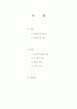 사회복지정의-1페이지