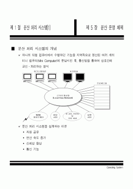 [사회과학] 분산처리 시스템이란-1페이지