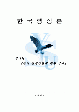 한국의 실증적 정책집행에 관한 연구-1페이지