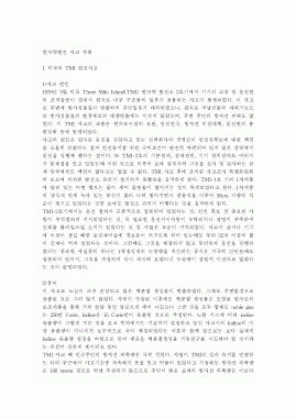 전세계 원자력 발전사고-1페이지