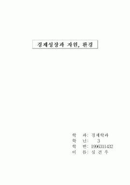 경제성장과 자원-1페이지