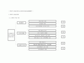 SWOT ANALYSIS & ISSUE MANAGEMENT(인테넷방송국)-1페이지