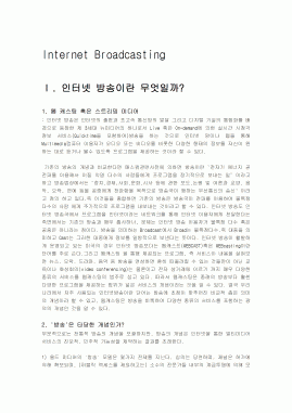 인터넷방송의 문제점과 대책, 대중매체-1페이지