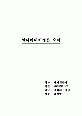 멀티미디어 개론-1페이지